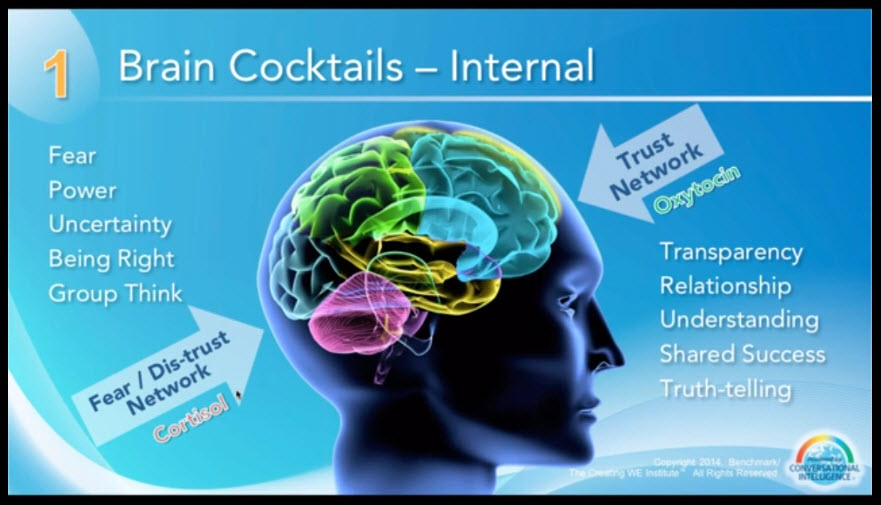 You Have 5 Brains According to You Have 5 Brains According to