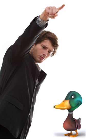 A Story About a Duck